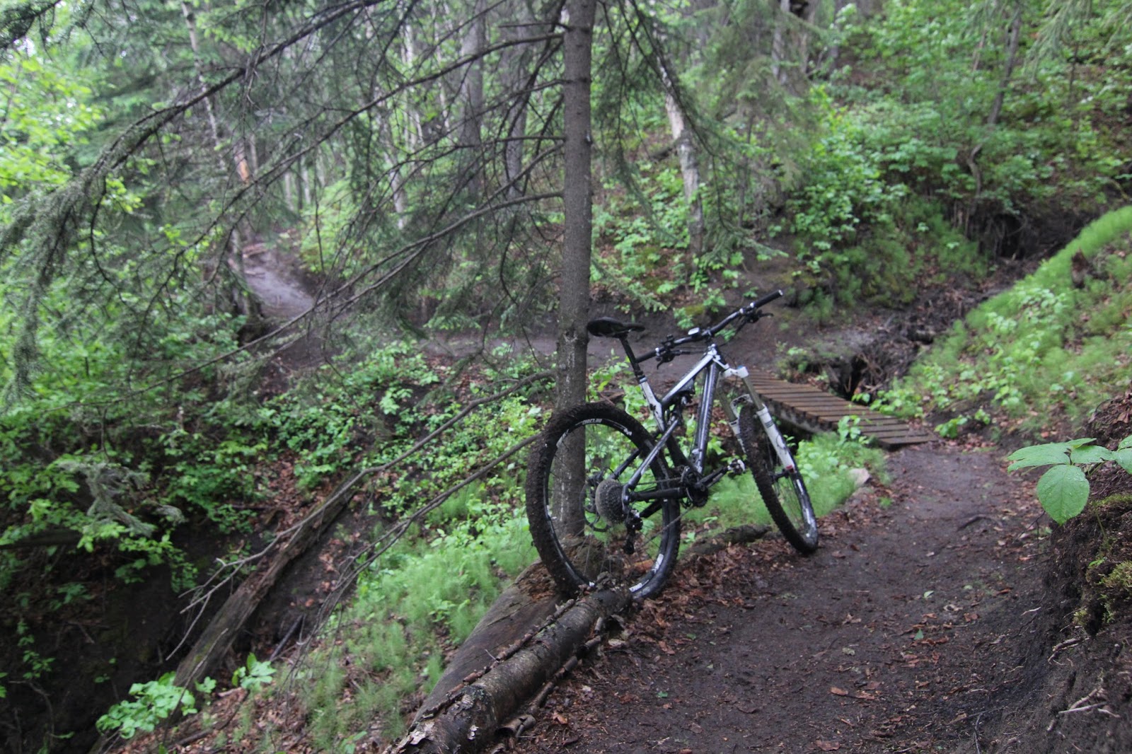 Top Five Edmonton Trails