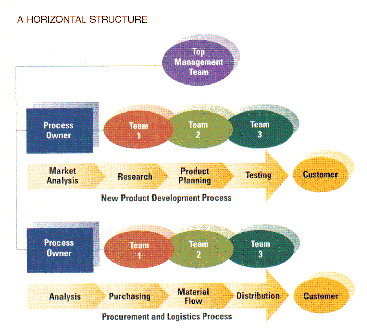 KAYONIE TEORI ORGANISASI Horizontal And Vertical Organizational KAYONIE TEORI ORGANISASI Horizontal And Vertical Organizational