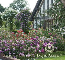 Promesse de roses: Catalogues 2014 : David Austin roses