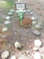 Anglo-American Cemetery Beirut, Lebanon: 2013