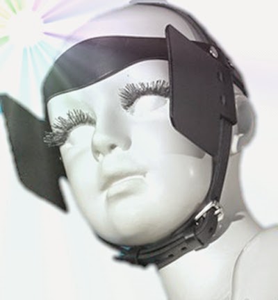 The 25 Year Plan: Blind