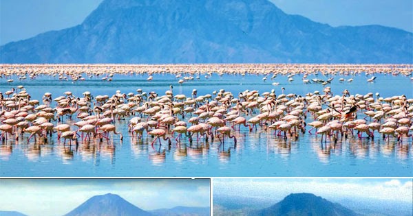 Amici-in-allegria: Lago Natron Tanzania