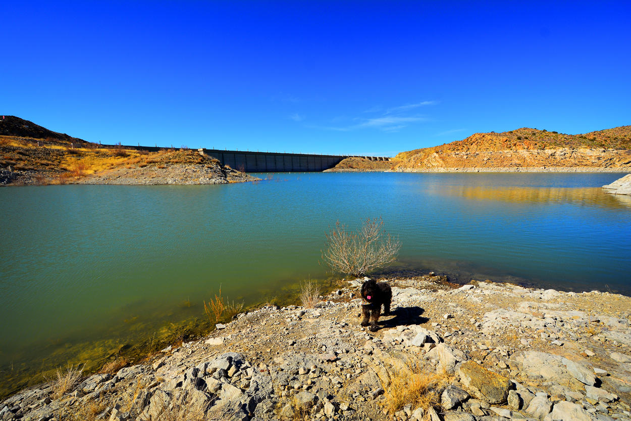 Ramblings from the Road: Elephant Butte Lake State Park