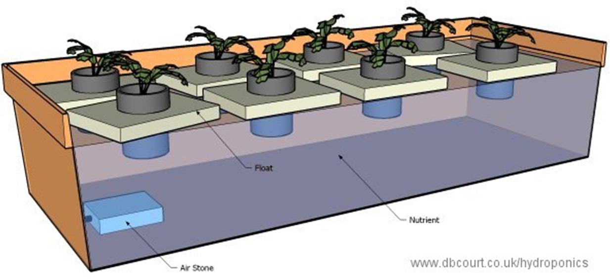 Hydroponic - General Agriculture