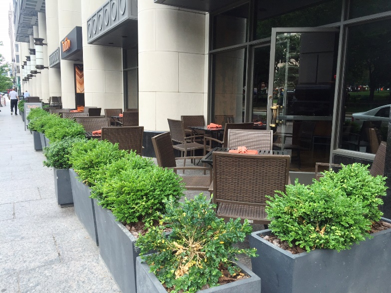 DOWNTOWN: Toro Toro Unveils A New Late Night Bar & Lounge Menu with ...