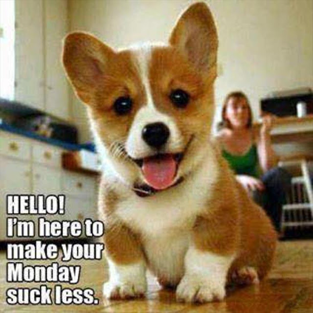 Today's Funny Pictures (24 Pics)