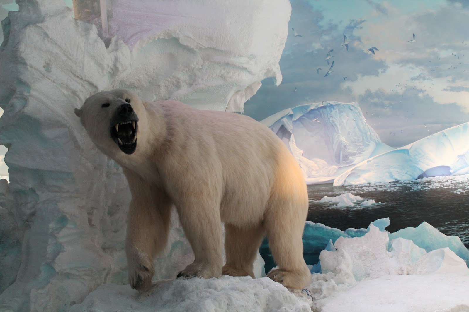 The Missouri Mom: Johnny Morris’ Wonders of Wildlife National Museum ...