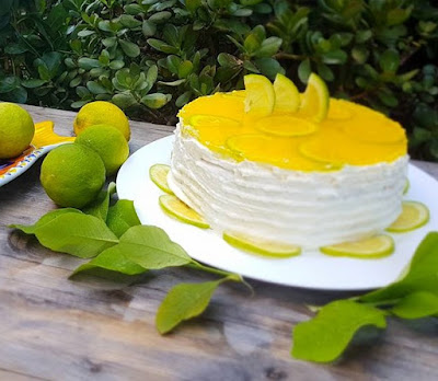 SEMIFREDDO AL LIMONCELLO - Antonella Audino