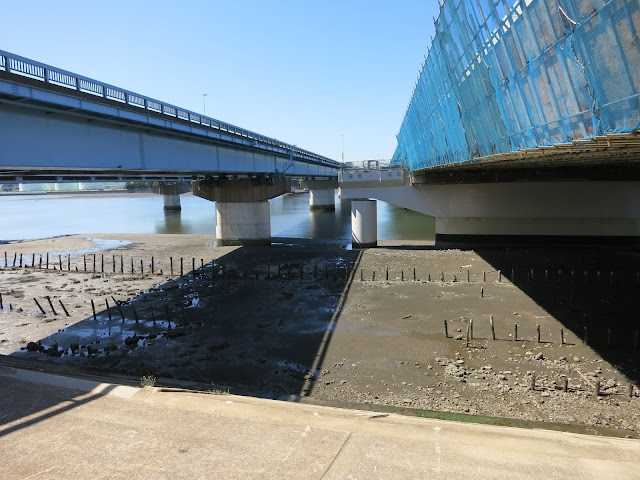 Bridge of the Week: Tokyo Prefecture, Japan's Bridges: Bridges across ...