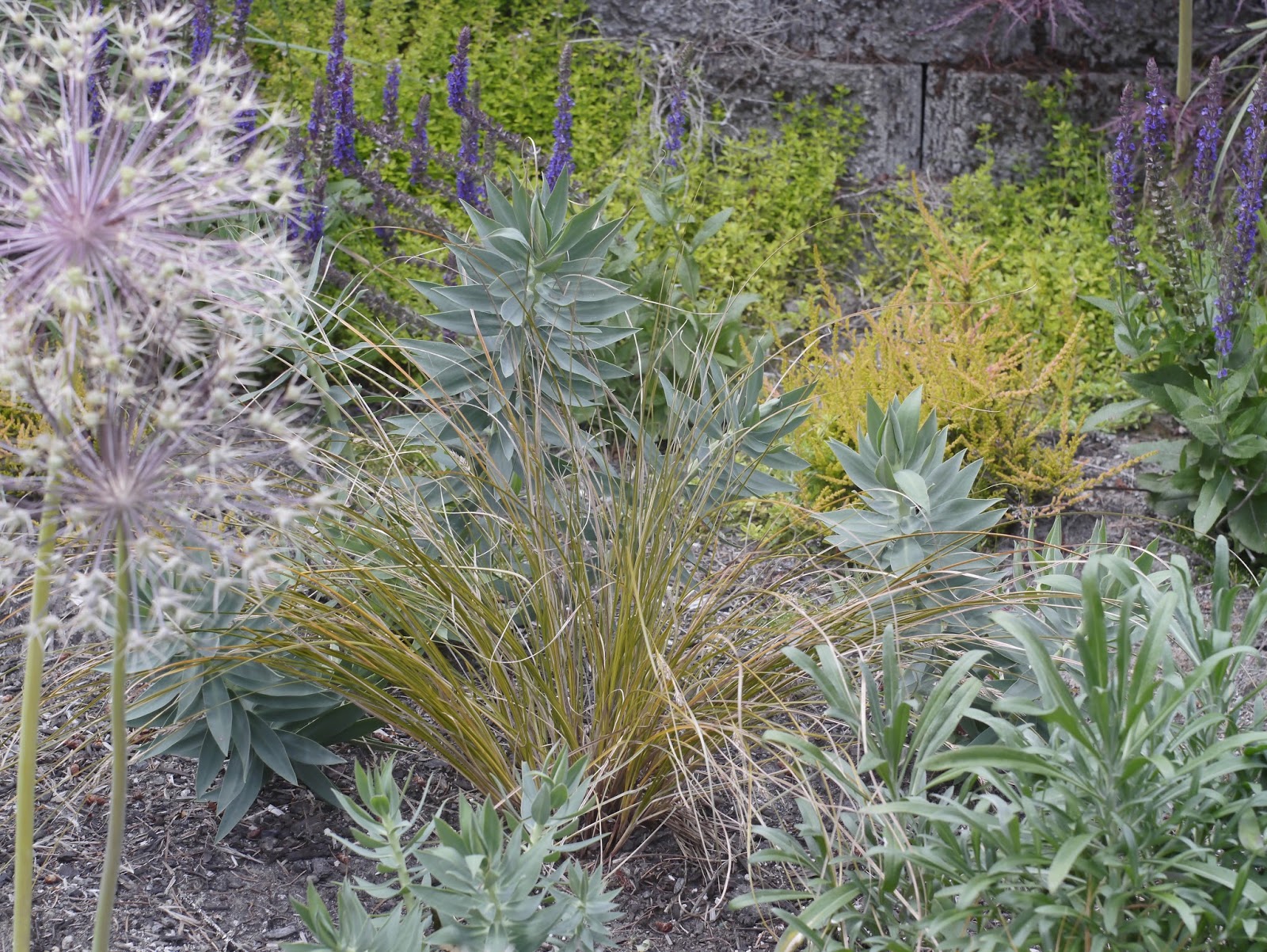 June Favorites: Combinations