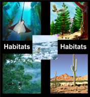 Science Technology: Plants and their habitats