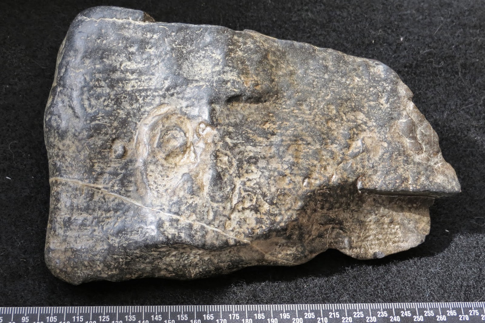 Archaeology of Portable Rock Art: A Ground Sloth head sculpture from ...