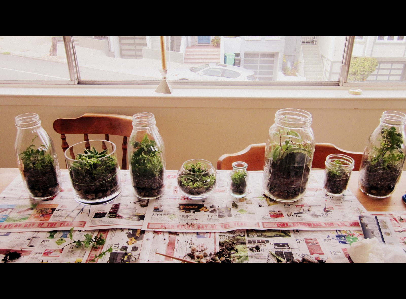 The Fern and Mossery: Terrarium-making Party