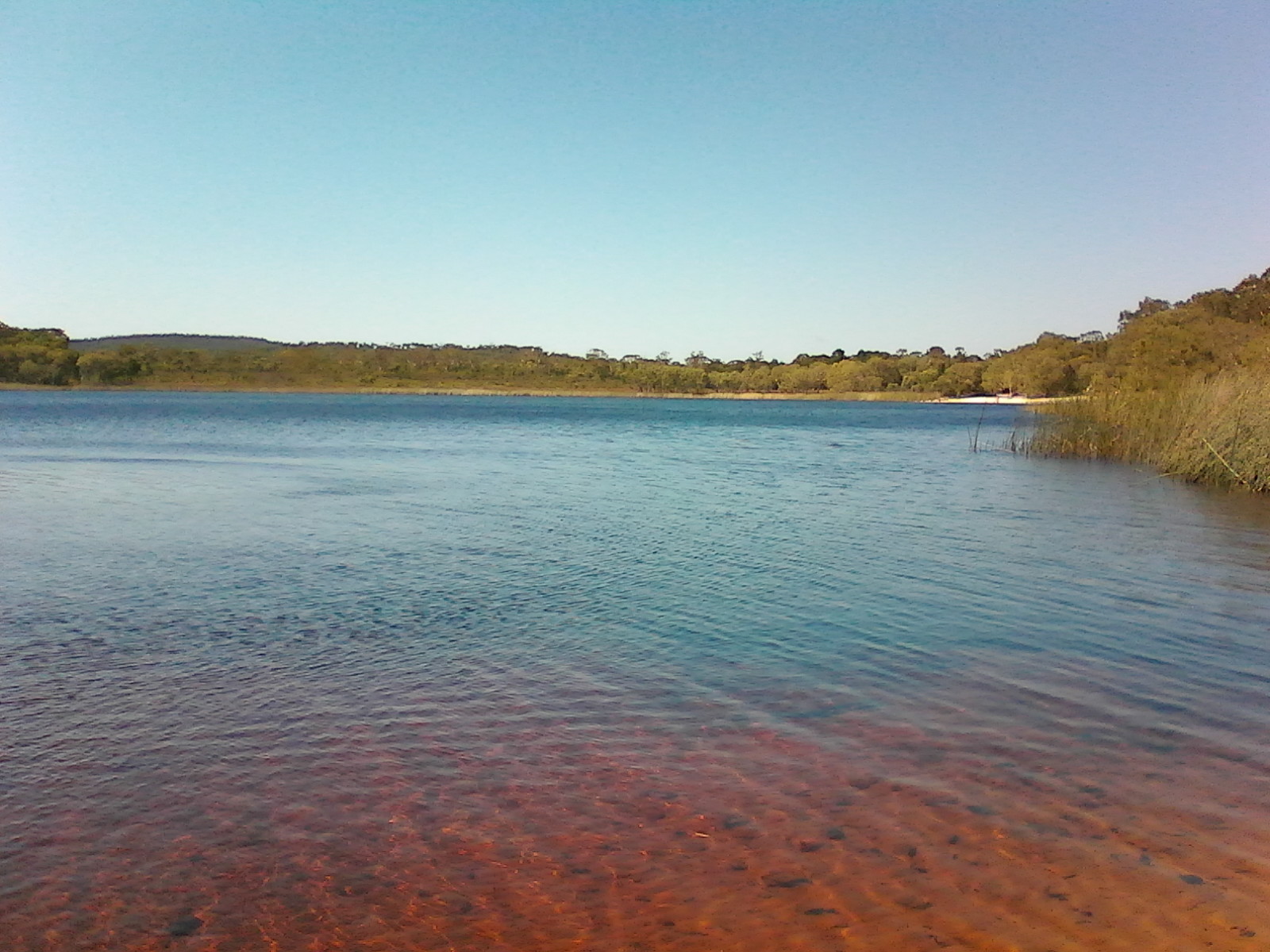 a hopeful nature: By the Lake