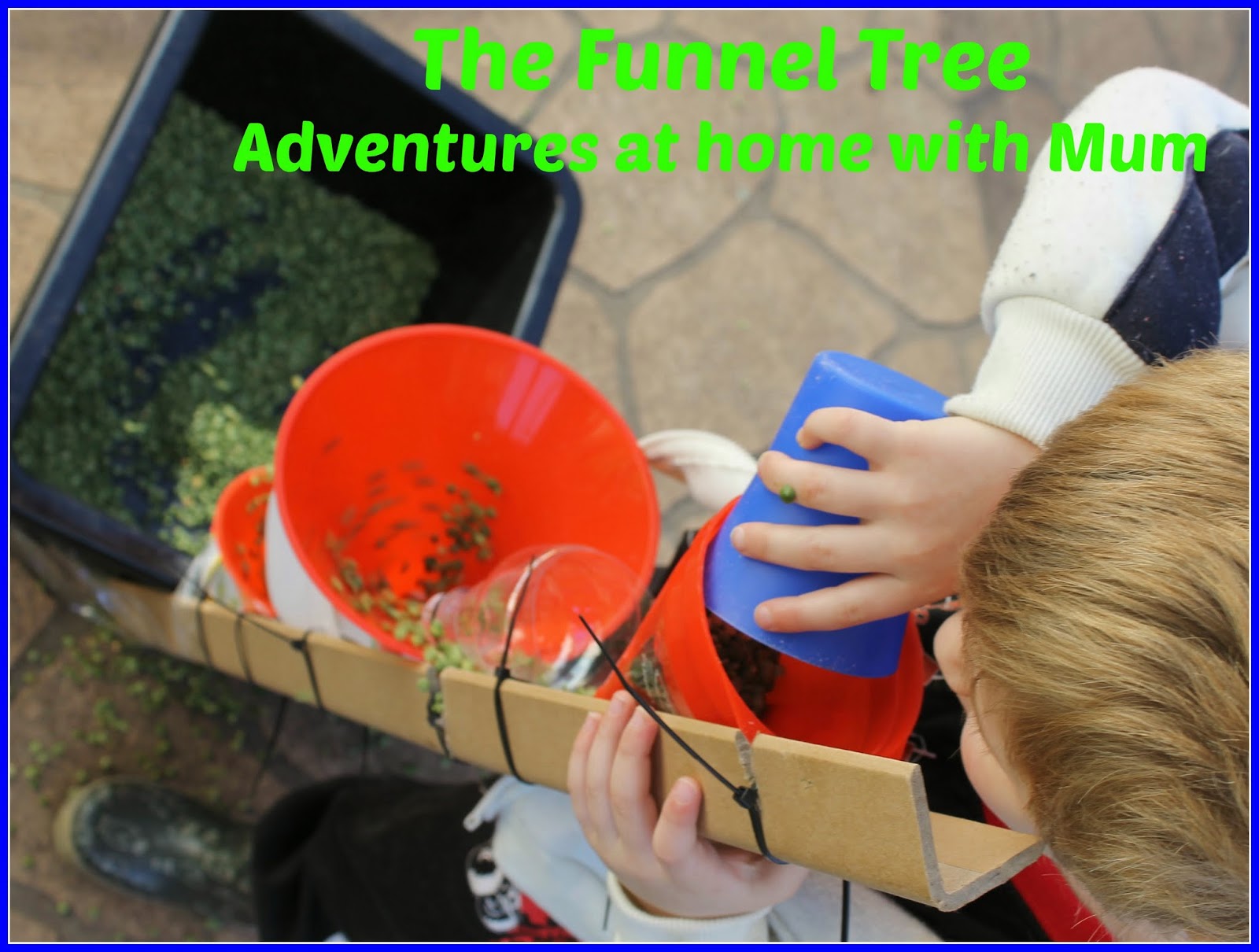 Adventures at home with Mum: Split Pea Funnel Tree