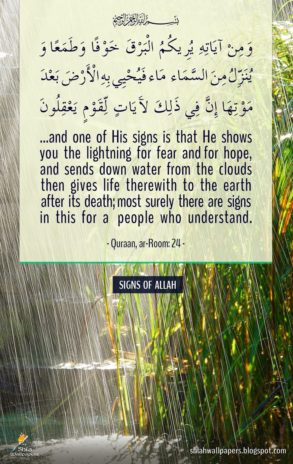 Shia Wallpapers: Sign of Allah (swt): Rain