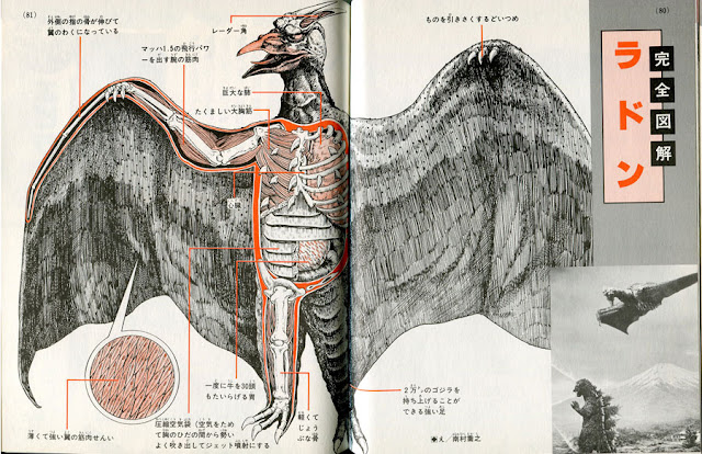 BLOOD WORK: KAIJUOLOGY: RODAN