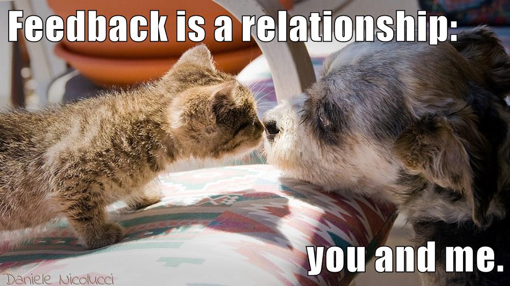 Growth Mindset & Feedback Cats: Feedback is a relationship: you and me.