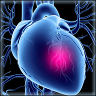 ritmicidad del corazón