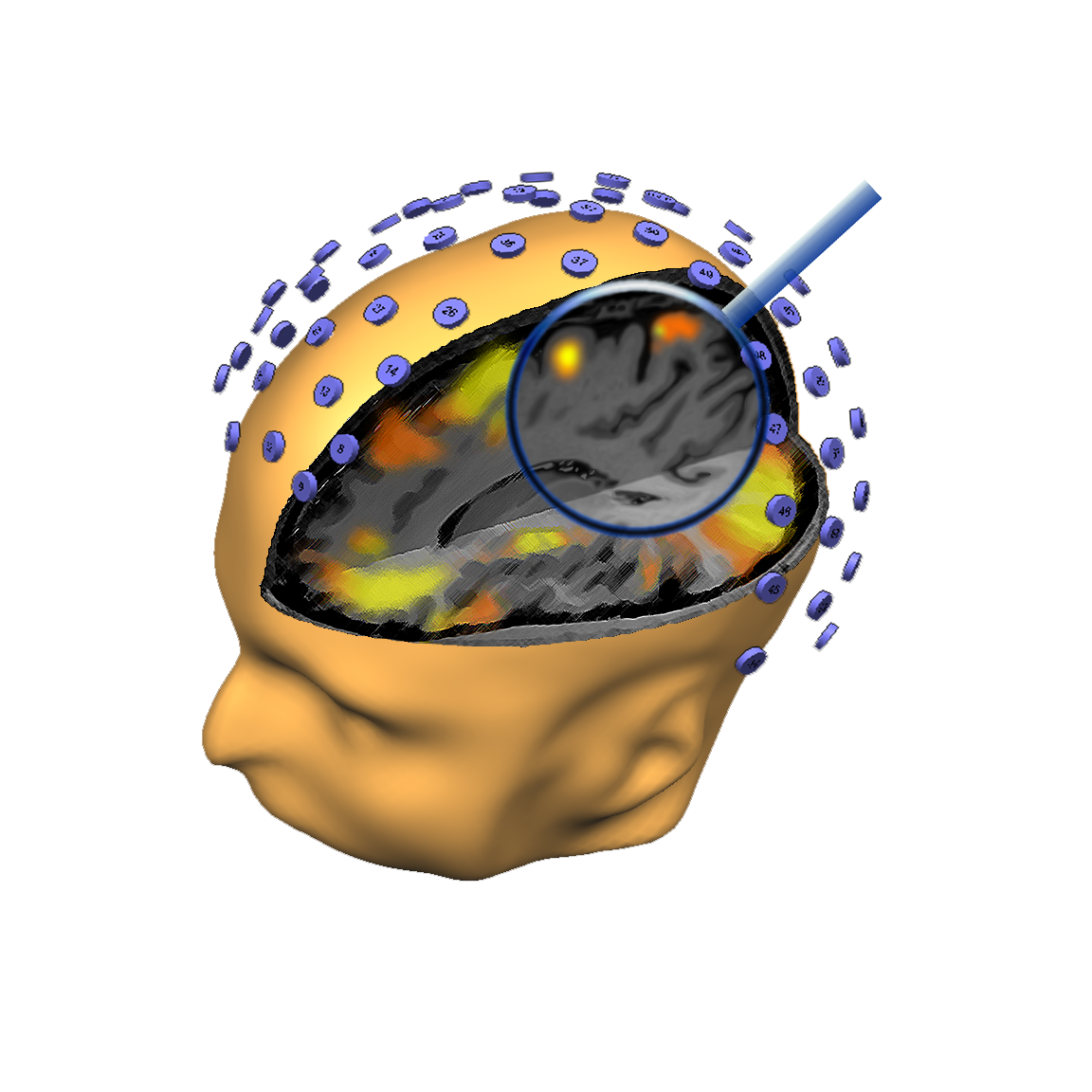 Stephenson School of Biomedical Engineering: 2016 OU Neuro News