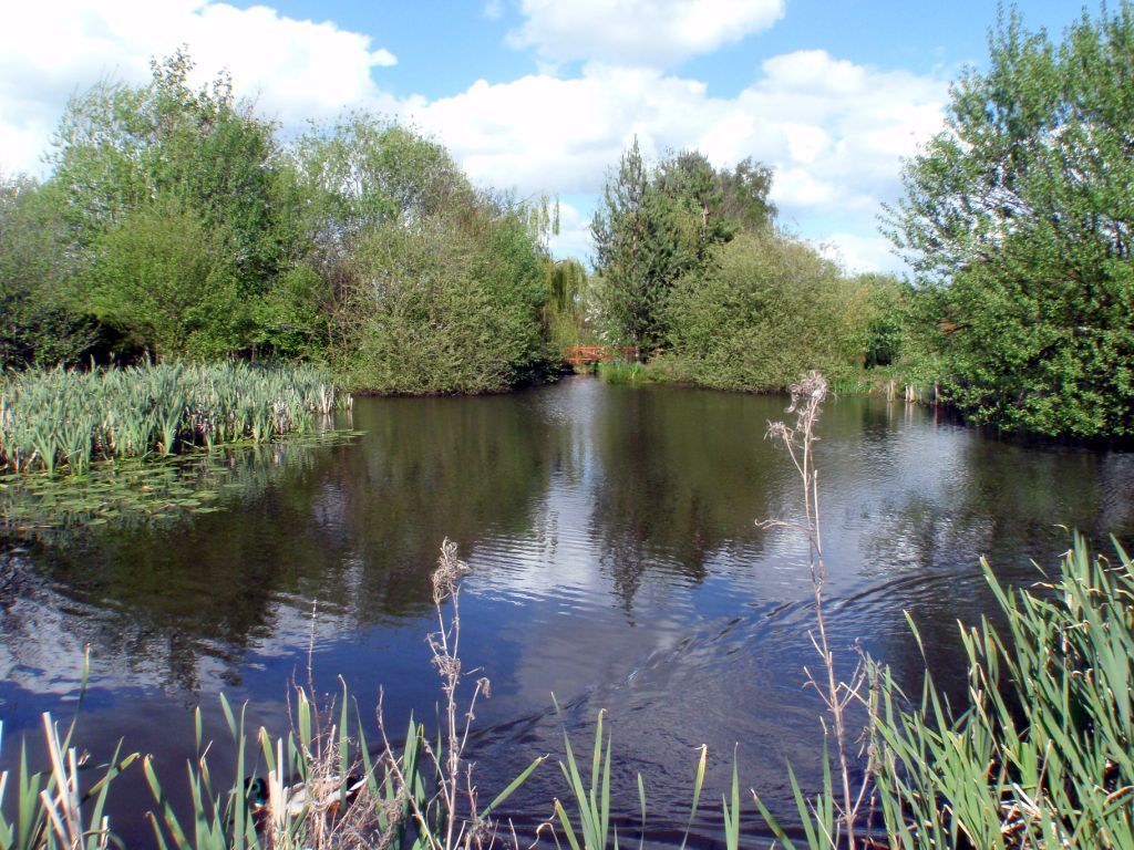Moor Hall Primary School: Bird Club Visit Bourne Pool