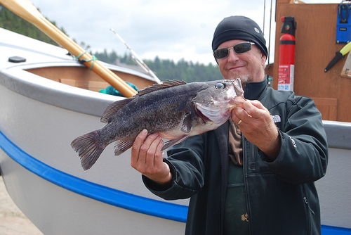 Behind the French Menu: Bar or Loup - European Sea Bass. Bar on French ...
