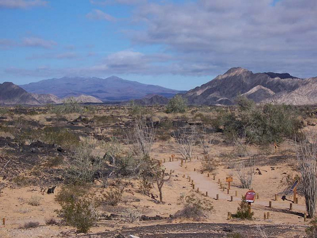 Patrimonio de la Humanidad: Reserva de la Biosfera El Pinacate y Gran ...
