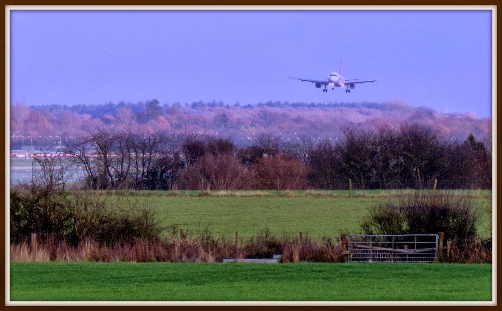 Grandma P's Ramblings Through Life: Jail House Cafe. Ifield Wood.