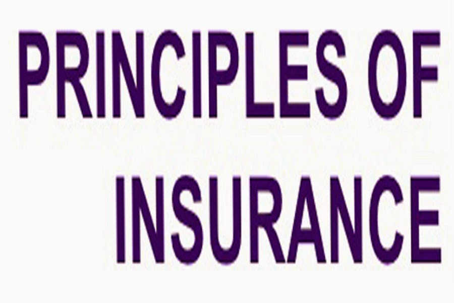 Principles of Insurance