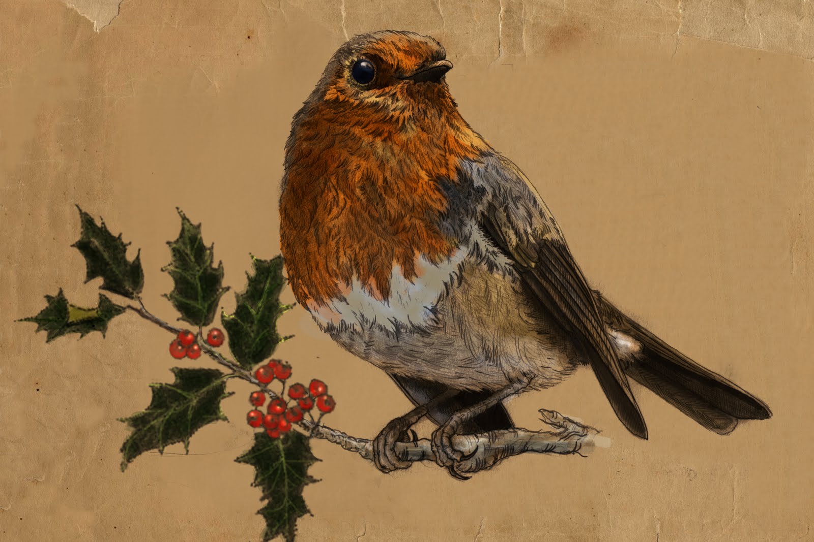Ben Rothery Illustrator: ages