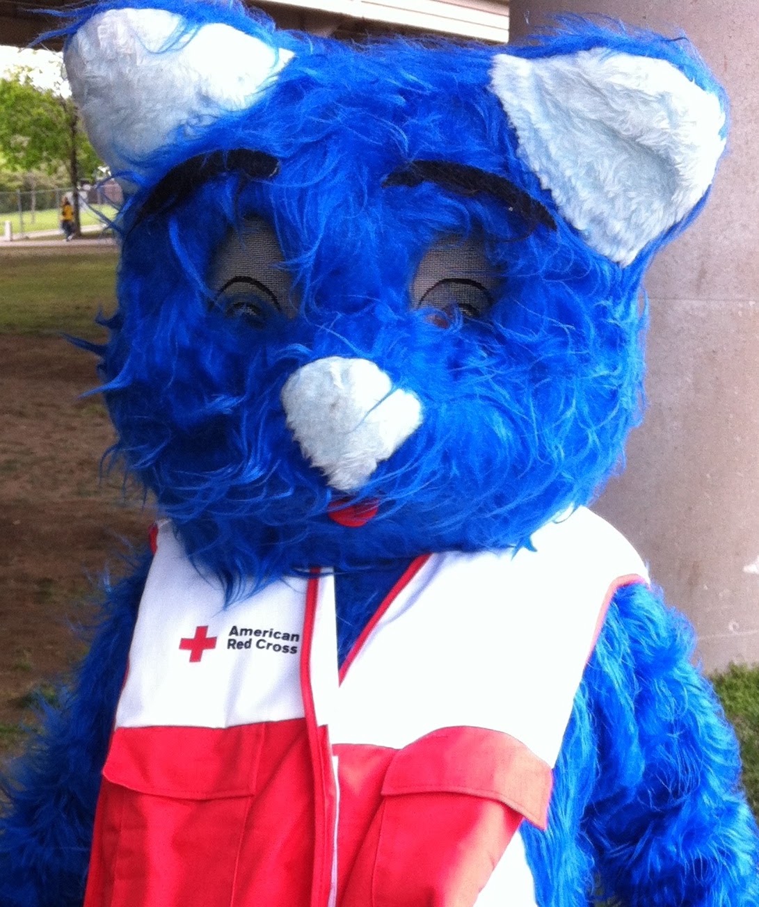 American Red Cross Louisville Area Chapter Blog: Red Cross Mascots Turn ...