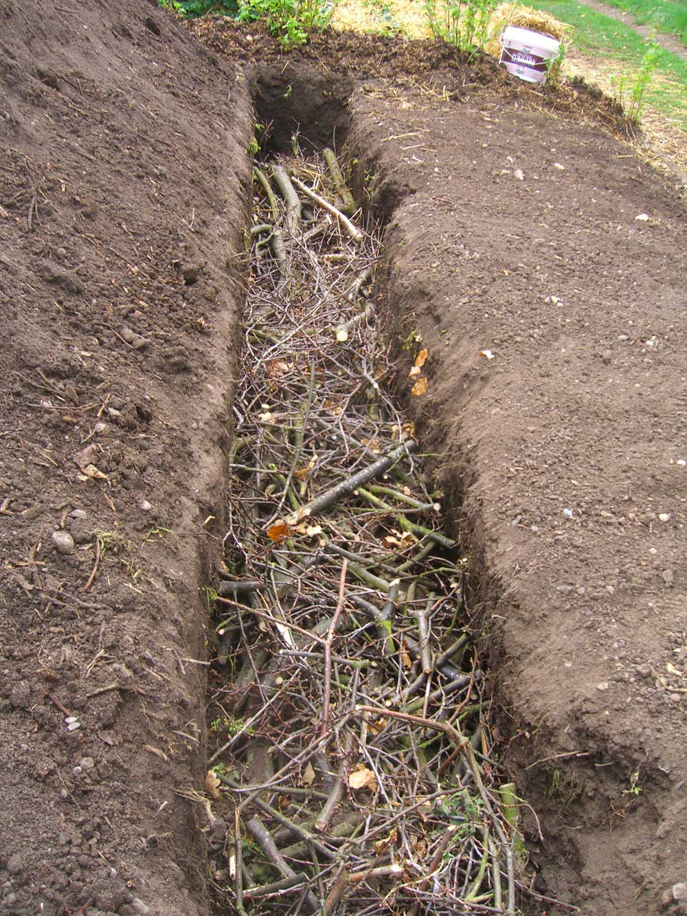 Allotment Garden: Trench Hugelkultur and hot bed.
