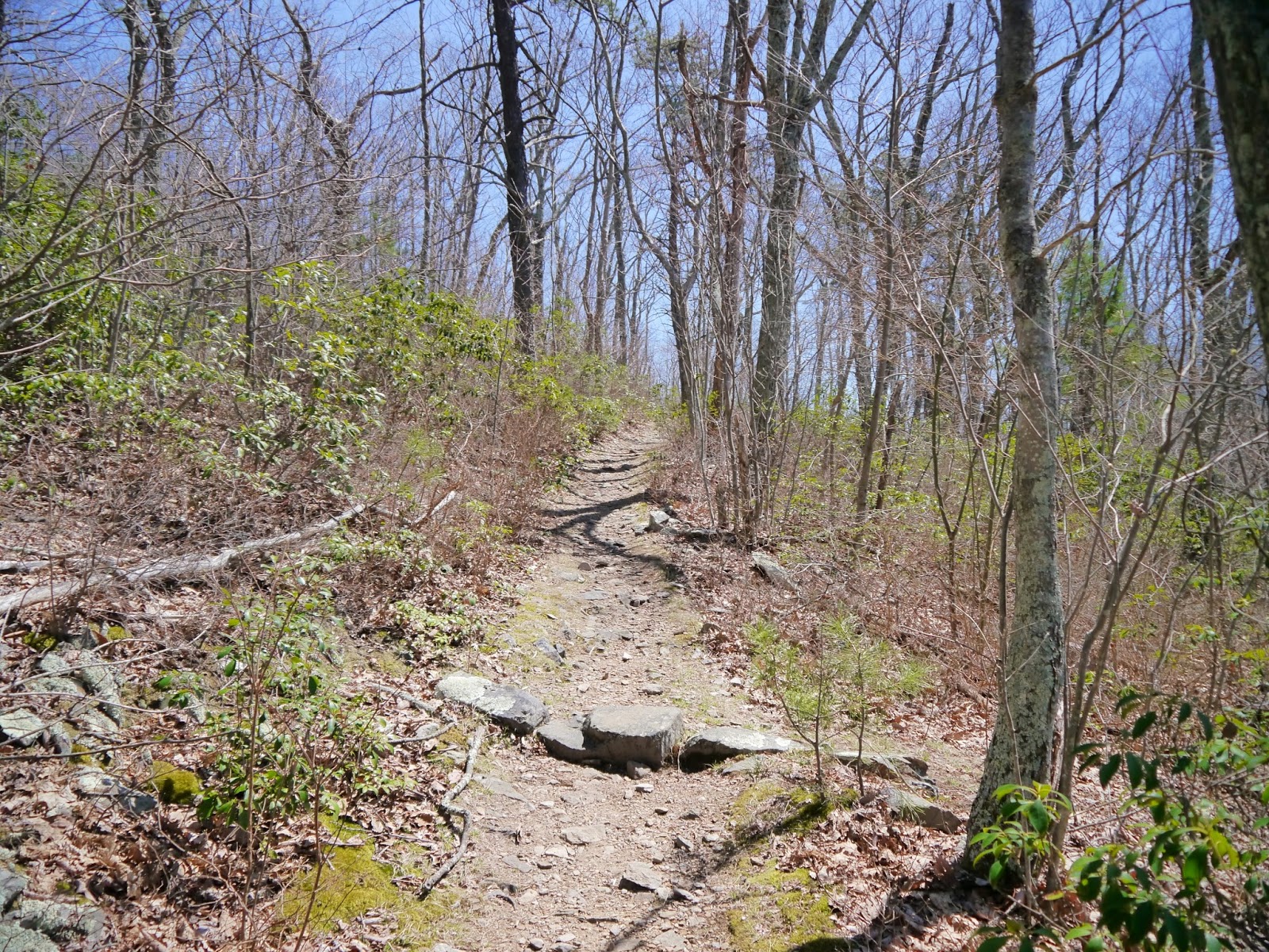 American Travel Journal: Wildcat Ridge Trailhead to Riprap Trailhead ...