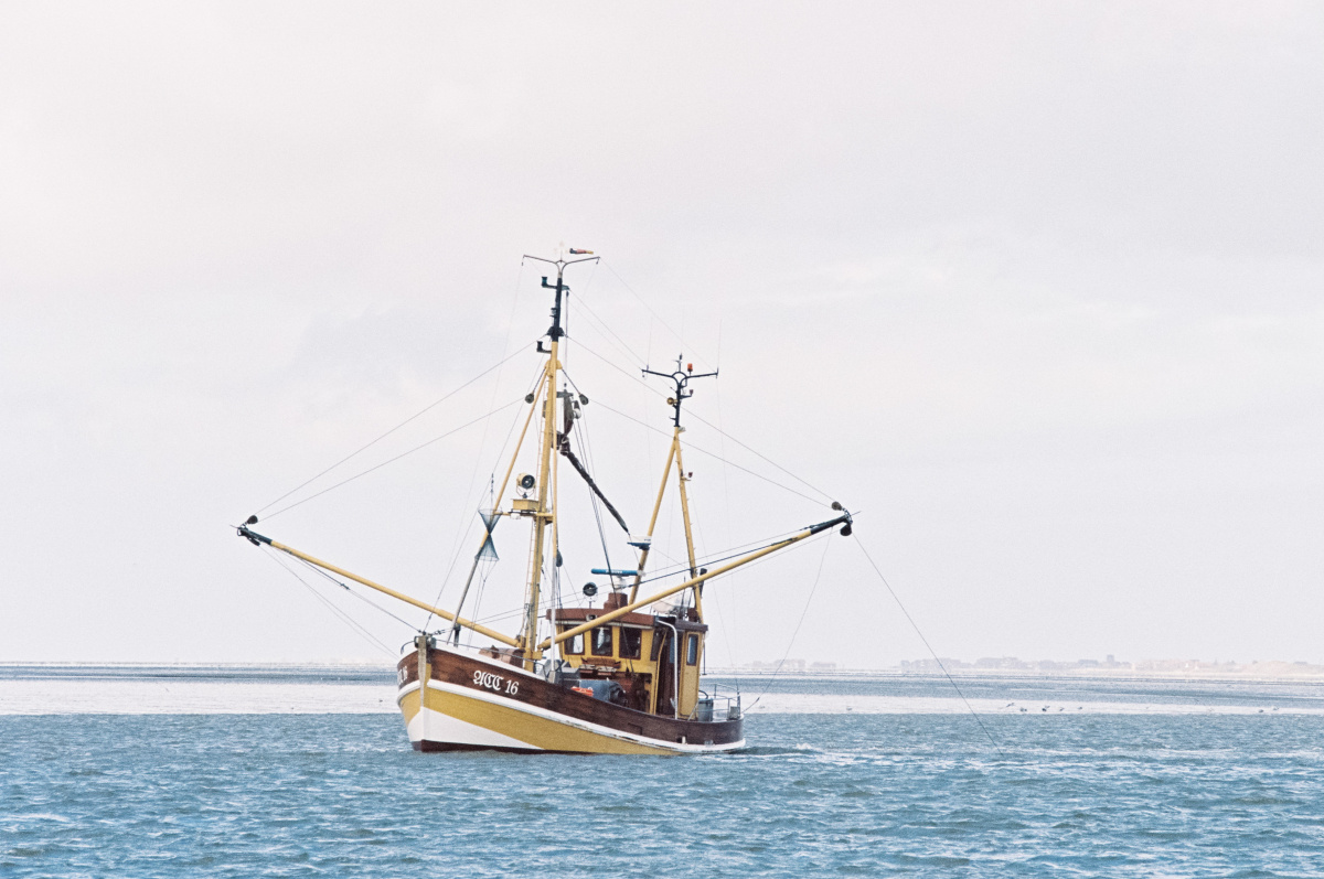Fotografie auf Film: Seehundbänke vor Baltrum, Fischer in der Accumer ...