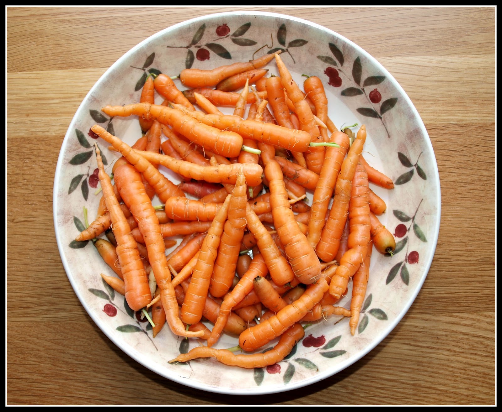 Mark's Veg Plot: Keeping pace with the seasons