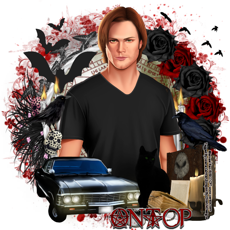 CT and PROMO work By Jolene Carmen: Carry On My Wayward Son