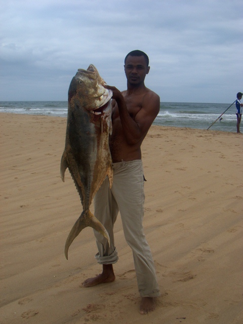 Pesca em Angola: Pescar Em Angola