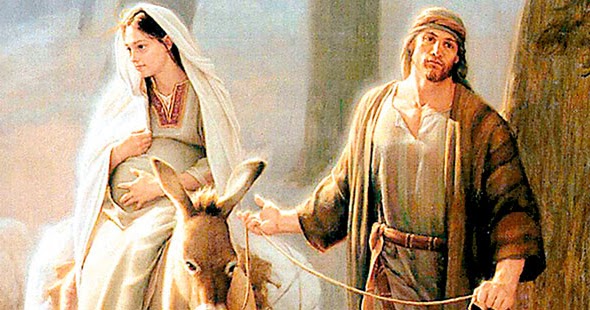 Você sabia que Maria e Jesus compartilhavam um órgão?