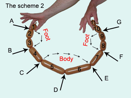 CLASSICAL: Balloon animal fat body
