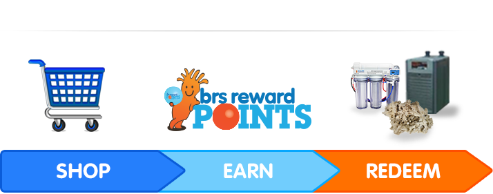 KBS Online Blogger: Shop, Earn & Redeem