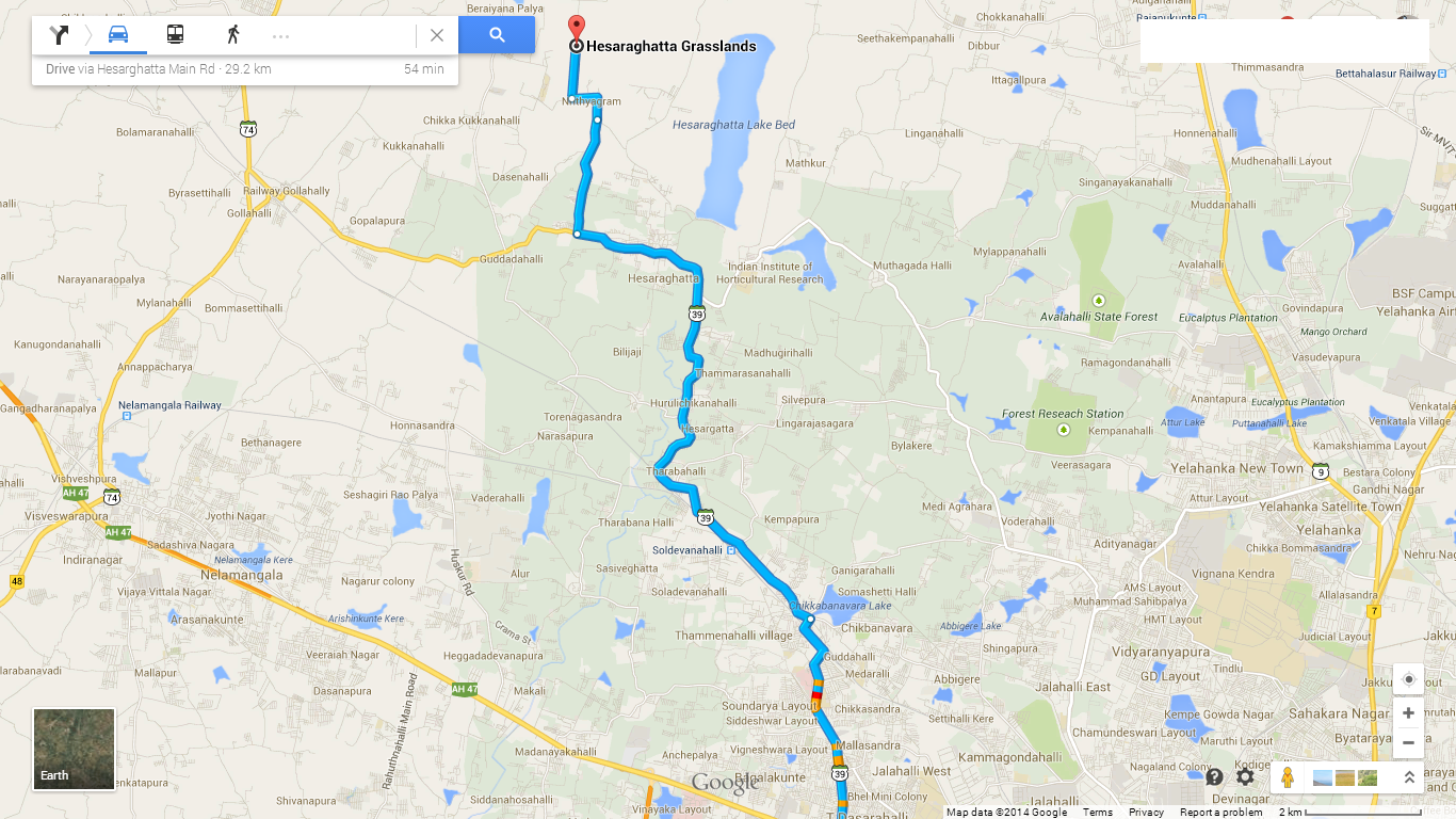 Driving Holidays From Bangalore: Hesaraghatta Grasslands