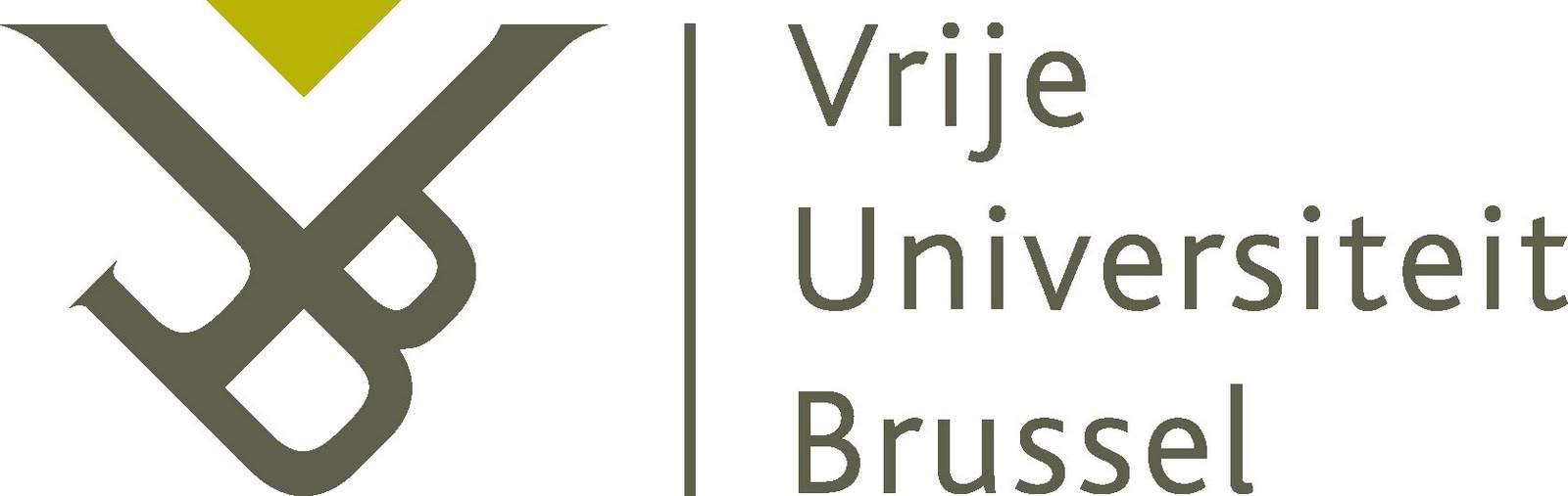 Objetivo Bruselas: 2011