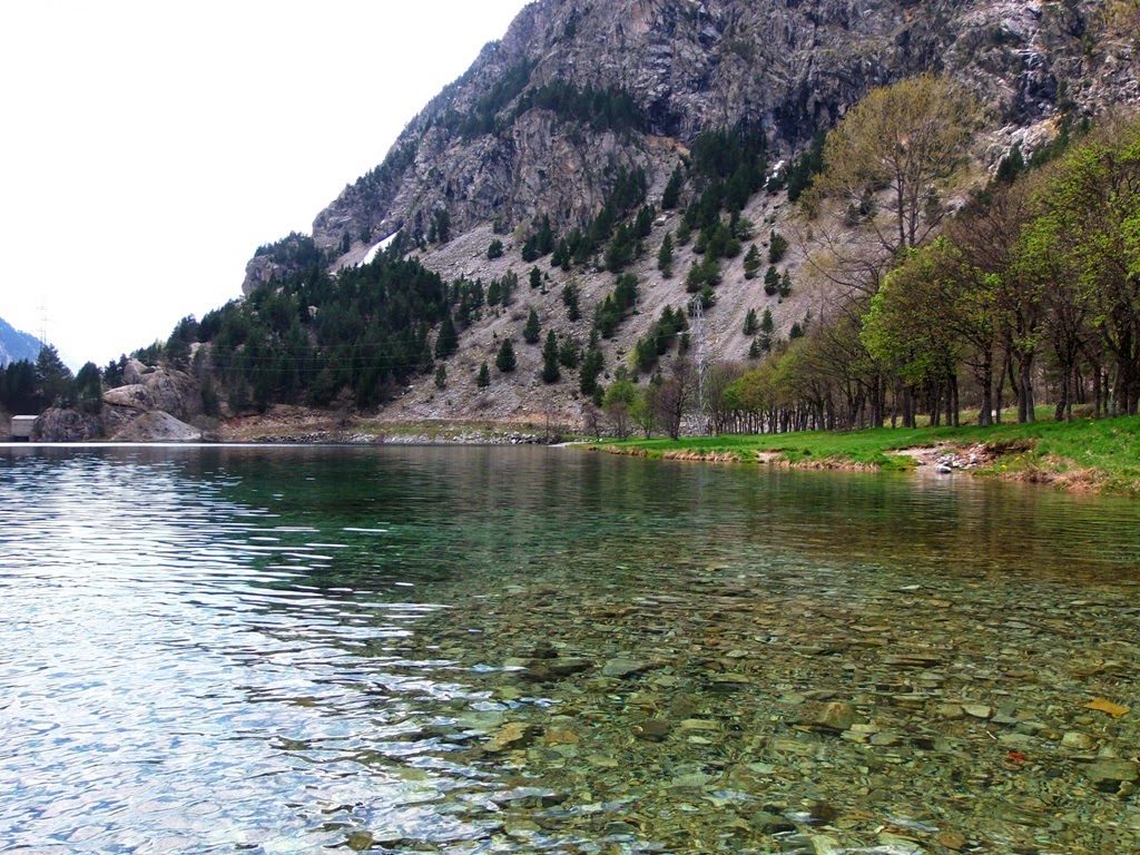 A pelo y pluma-- Flyfishing blog: Un par de horas en el lago (II)