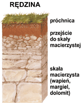 Geografia dla moich uczniów: Gleby