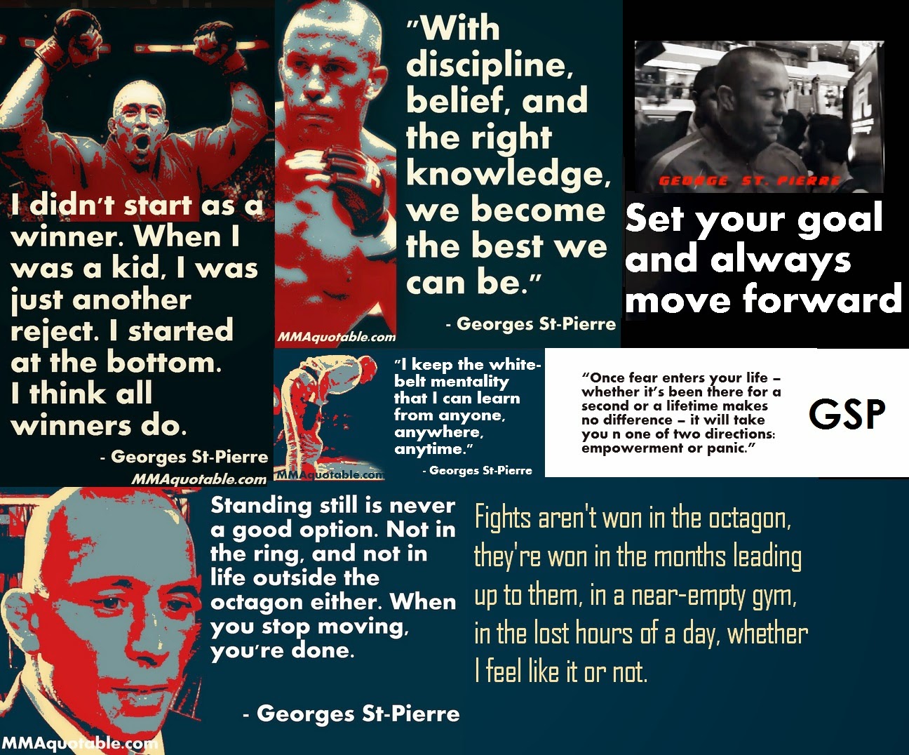 Motivational Quotes with Pictures (many MMA & UFC): Georges St Pierre ...