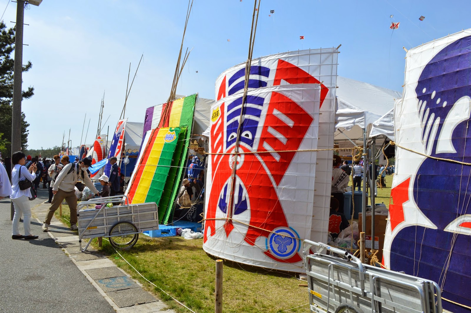 Golden Week Part Two: Biking to the Kite Festival ~ Jenna in Japan