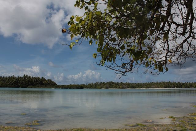 Vive La Vida--Tuvalu Happy Kitchen: Central Island Round Trip--Vaitupu