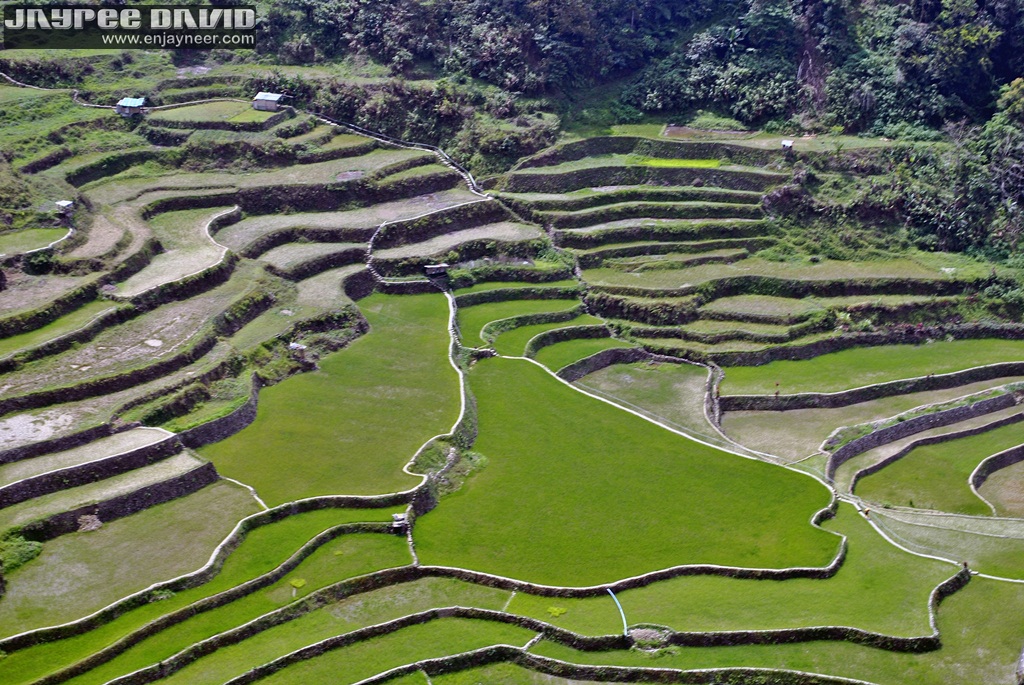 Exploring Ifugao and the Banaue Rice Terraces