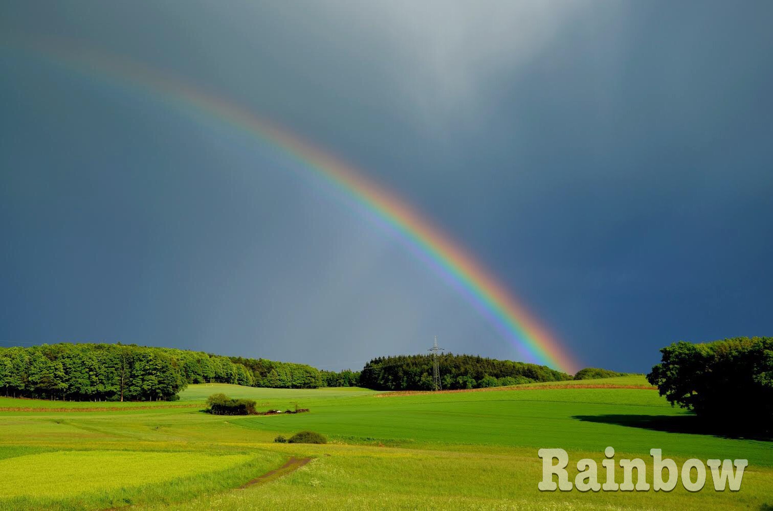 🧬🌌 Science Dictionary 🌌🧬: Why does a Rainbow Appears
