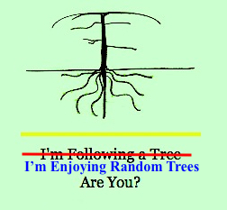 In the Company of Plants and Rocks: Tree of the Month: the Poison Nut Tree